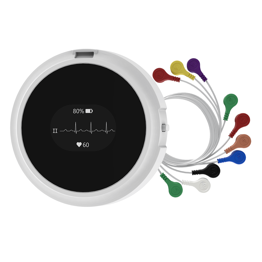 Wellue 12-Lead Holter Monitor- Get AI-analyzed ECG reports on PC & App