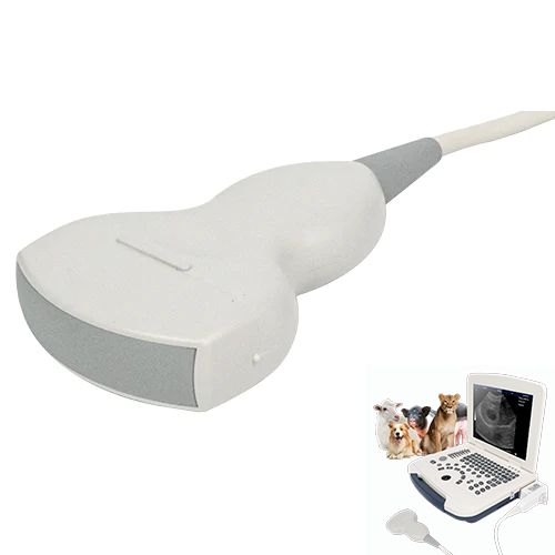 VU10 Laptop Veterinary Ultrasound Probe – Wellue