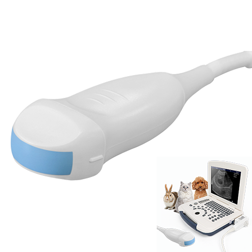 VU10 Laptop Veterinary Ultrasound Probe – Wellue