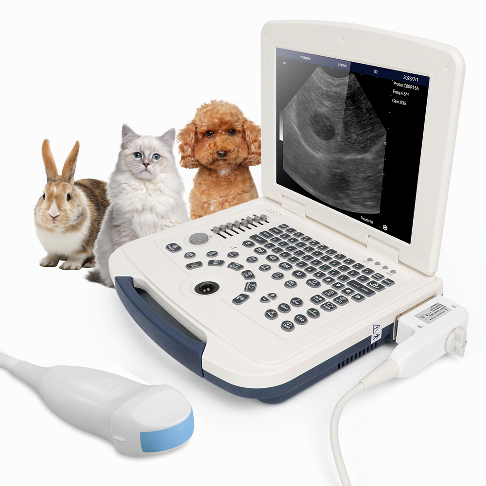 VU10 Veterinary Diagnostic Ultrasound Machine with Transducer for ...