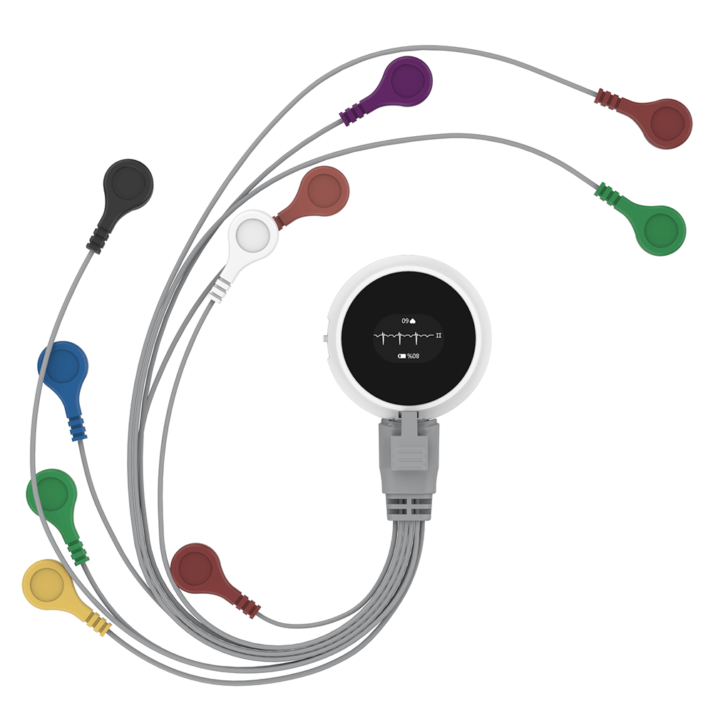 Wellue 12-Lead Holter Monitor- Get AI-analyzed ECG reports on PC & App