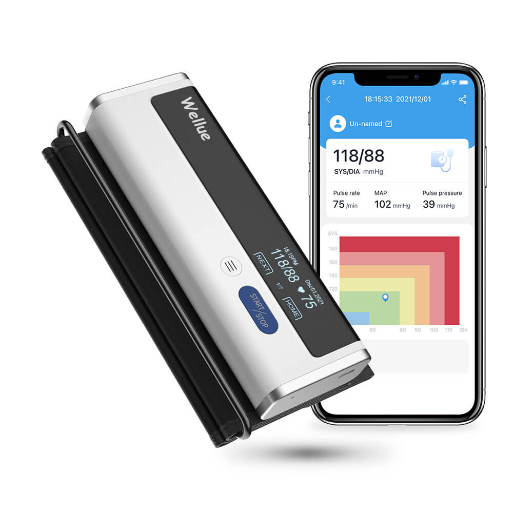 Wellue Portable Blood Pressure Monitor with EKG, Supporting AI ...